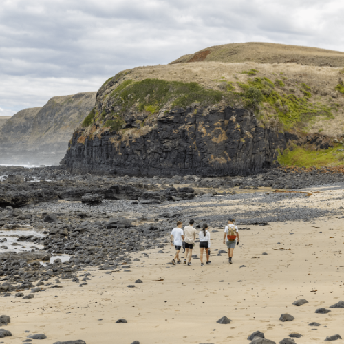 Hot Pools to Rock Pools Discovery Adventure | Wild Adventures Melbourne